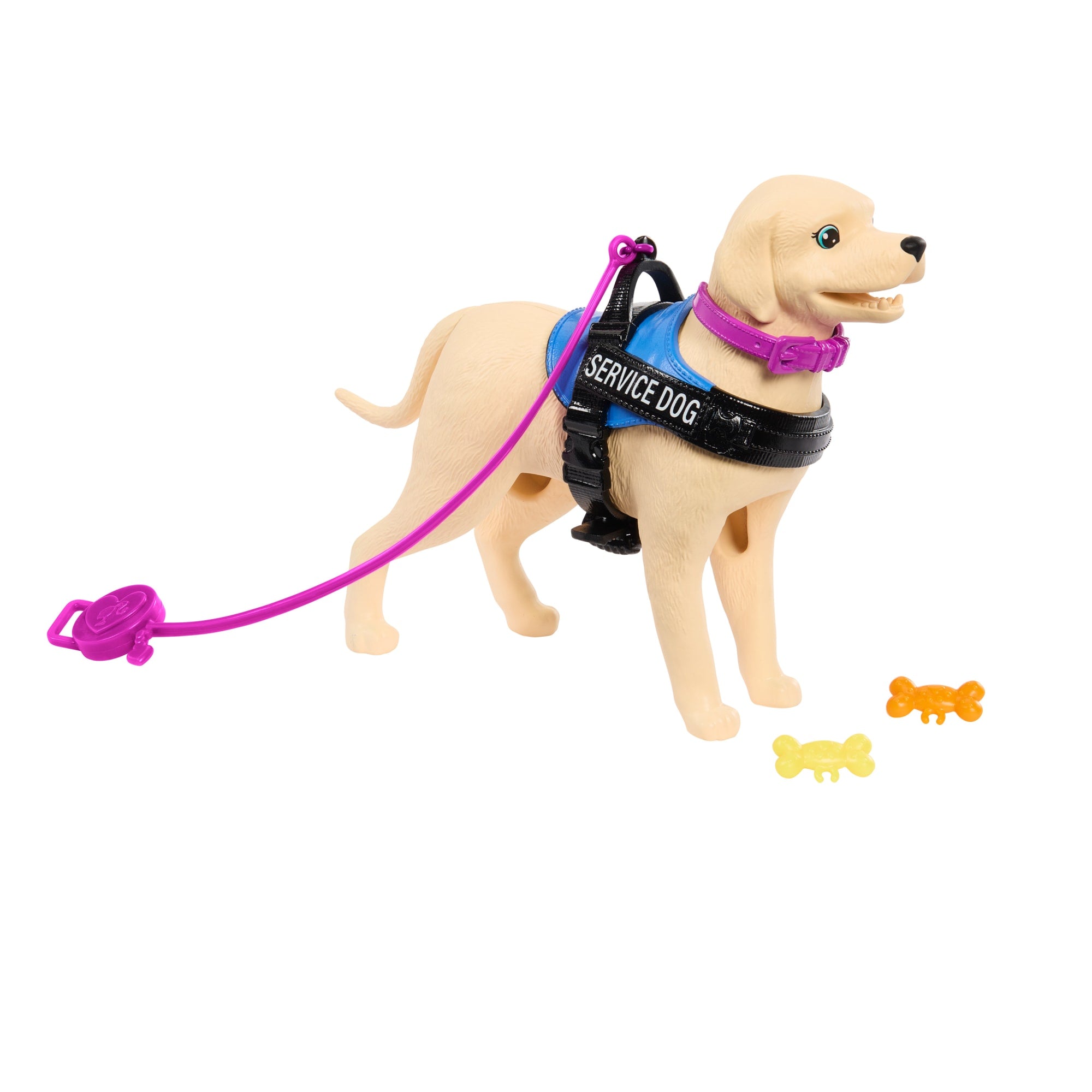 Barbie Doll & Service Dog Playset with Wheelchair, Ramp & Accessories ...